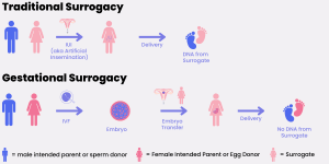 Does a surrogate mother share DNA with the baby? | Surrogate Steps®